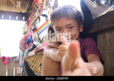 Indigenous people, boy of the indigenous people Huni Kuin working in ...
