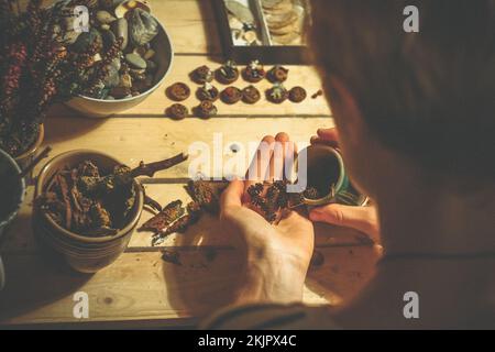 Close up sorting natural objects from forest for craft concept photo ...