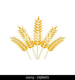 Wheat wreaths logo. Wheat ear icon. Vector agriculture ears symbol ...