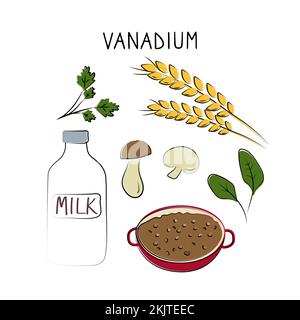 Vanadium-containing food. Groups of healthy products containing ...