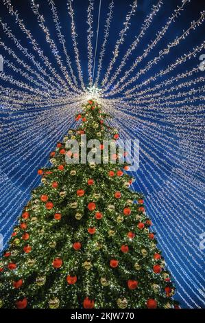 Moscow, Russia - December 7, 2022: Big Christmas tree. New Year ...