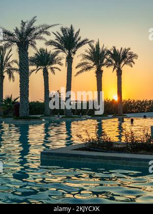 The vast infinity pool with palm trees and cabanas at the Al Wathba ...