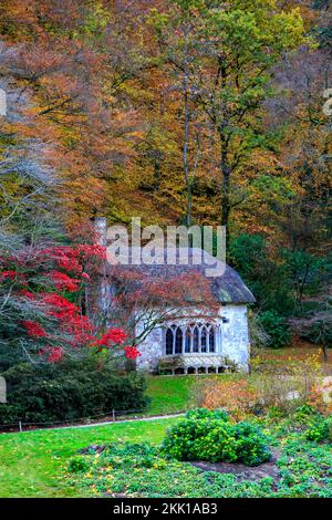 Spectacular autumn colour surrounds the thatched Gothic Cottage at ...