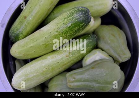 Mentimun, Timun, Ketimun Or Cucumis Sativus L. With Selected Focus ...