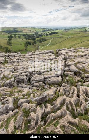 Malham Cove, fault on the middle Craven Fault, 70m sheer drop on cliff ...