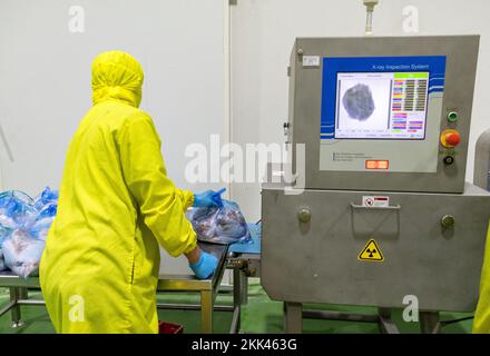 X ray machine inspection chicken meat for detect metal in product. food ...