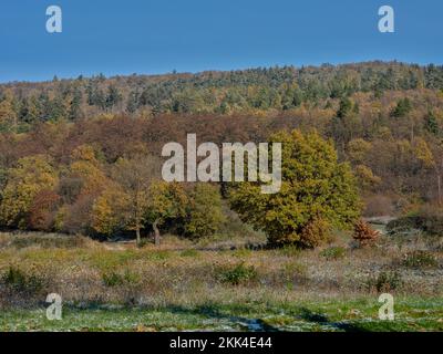 Late autumn colors after first light snow Lower Silesia Poland Stock ...