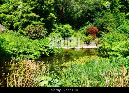 Coathele, Cornwall, England Stock Photo - Alamy