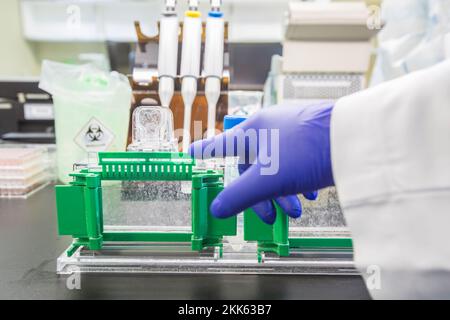 Western blot analysis use as protein analysis for protein detection ...
