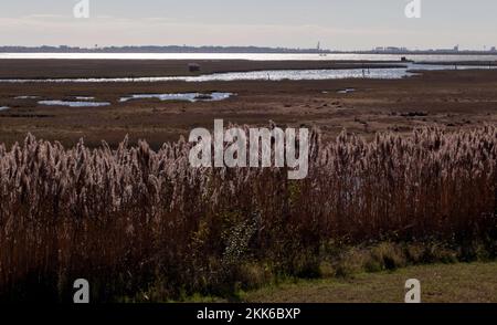 View from NASA's Wallops Island Flight Facility Visitors Centre looking ...
