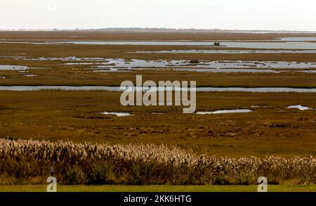 View from NASA's Wallops Island Flight Facility Visitors Centre looking ...