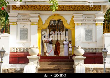 people worship at the famous Bodh Gaya tree Stock Photo - Alamy