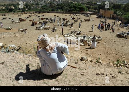 Livestock traders at Keren market in Eritrea Stock Photo - Alamy