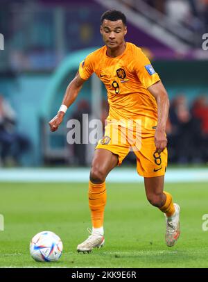 Al Rajjan, Qatar. 25th Nov, 2022. Soccer, Qatar 2022 World Cup, Wales ...