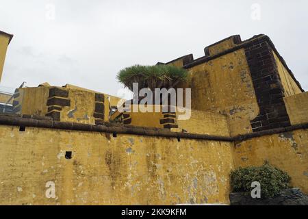 yellow fortress sao thiago in funchal on madeira Stock Photo - Alamy