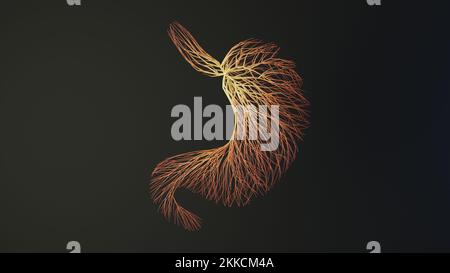 Human stomach made out of lines. Medical Concept. 3D Rendering Stock ...