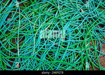 Outer casings of pvc electrical cables, abandoned and discarded, ready ...