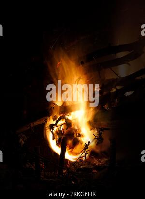 Fire wood, coal and amber ash closeup. Red tongues of flame and glowing ...