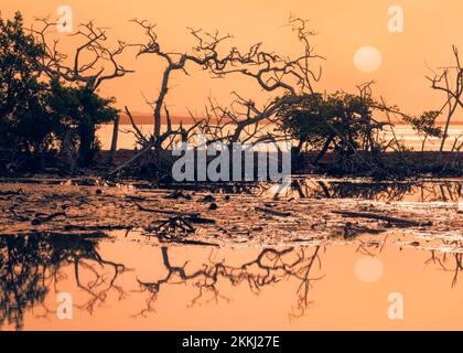 Salt Flats, Cabo Rojo, Puerto Rico Stock Photo - Alamy