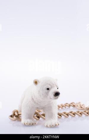 Polar bear cub and chain on a white background Stock Photo - Alamy