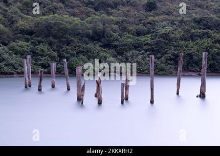 Upright wooden poles left to rot in the sea. Long exposure gives silky ...