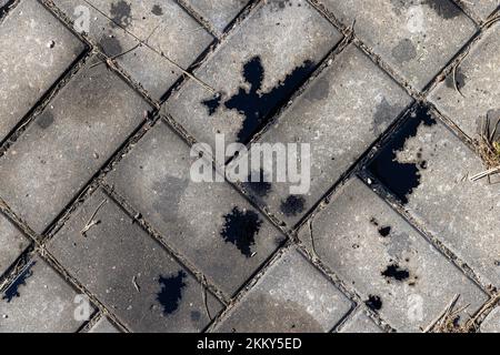 Oil-stained tiles in the parking lot, pollution in the parking lot due ...