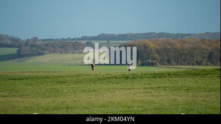 Paratroopers of Rapid Forces Division (Division Schnelle Kräfte , DSK ...