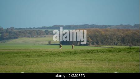 Paratroopers of Rapid Forces Division (Division Schnelle Kräfte, DSK ...