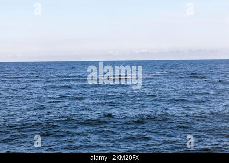 cold Baltic sea in August, summer holidays and seaside vacations 2022 ...