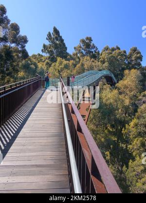 The Kings Park Lotterywest Federation Walkway Bridge, Perth, Australia ...