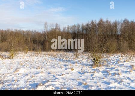 winter season with snowdrifts after snowfall, fresh and clean snow in ...