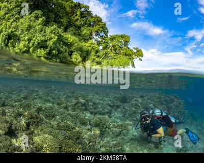 Female scuba diver finding tropical reef fish while guiding Scuba Dive ...