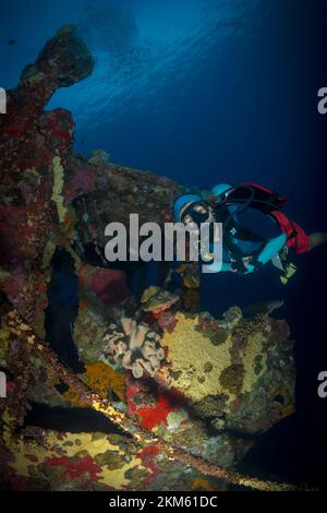 Female scuba diver finding tropical reef fish while guiding Scuba Dive ...
