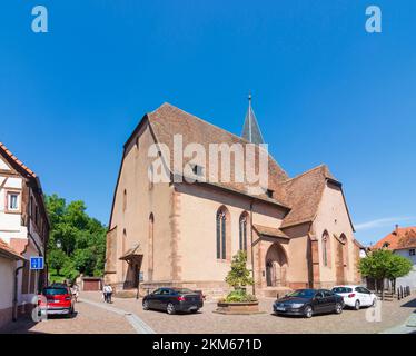 France Bas Rhin Wissembourg Saint Pierre Saint Paul church Stock Photo ...