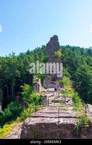 Niedersteinbach: Wasigenstein Castle in Palatinate Forest-North Vosges ...