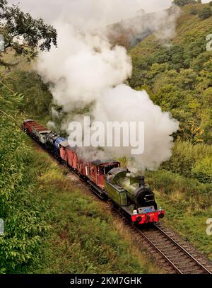 Lambton Colliery Railway 0-6-2 tank locomotive No 29 passing Darnholme ...