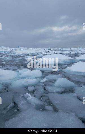 The Ice feild's and icebergs flowing in the Antarcatica Ocean. With ...