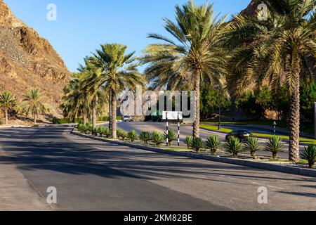 Road with palm trees. Traditional Omani architecture. Old Town of ...