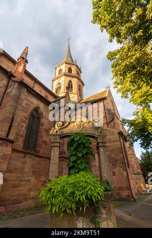 Soultz-Haut-Rhin (Sulz), church Saint-Maurice in Alsace (Elsass), Haut ...