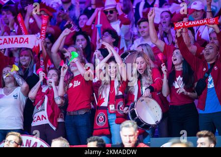 Malaga, Spain. 26th Nov, 2022. Denis Shapovalov of Canada Credit ...