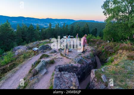 Vosges (Vogesen) Mountains: Collet du Linge (Lingekopf). During World ...