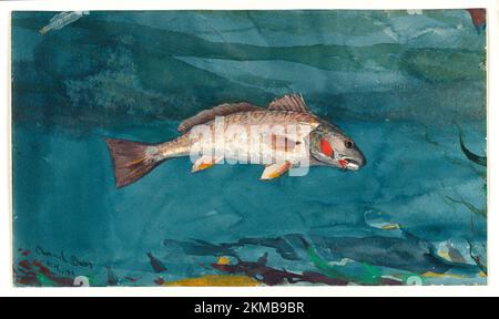 Winslow Homer - Channel Bass Stock Photo - Alamy