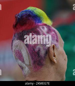 Doha, Katar. 26th Nov, 2022. firo : 26.11.2022, Football, Soccer, FIFA ...