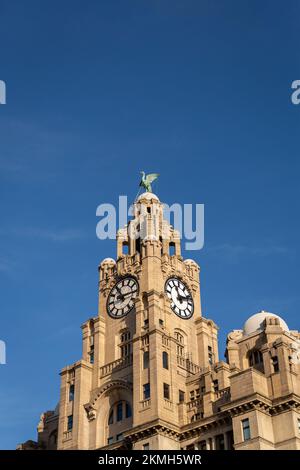 The clock tower of the Royal Liver building at the Liverpool Waterfront ...