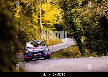 69 CAPELLI Thomas, HAMEL Juliette, PEUGEOT 208 VTI R2, action during ...