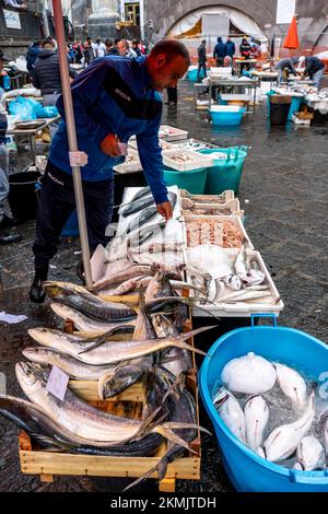 Fresh Fish/Seafood For Sale At The Daily Fish Market, Catania, Sicily ...