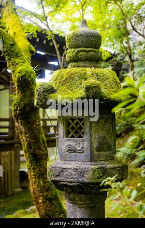 Beautiful japanese toro lantern covered with moss in forest Stock Photo ...