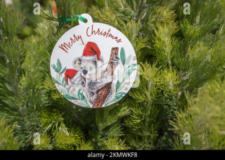 Adelaide, Australia. 27 November 2022. Australian koalas wearing a ...