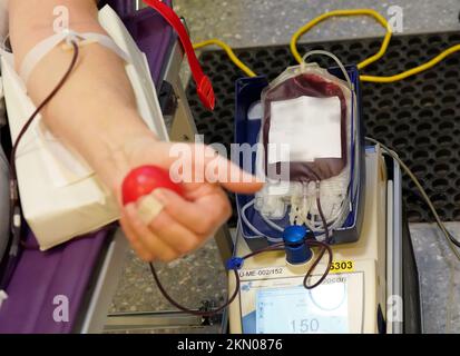 Kaltenkirchen, Germany. 25th Nov, 2022. An employee of the German Red ...