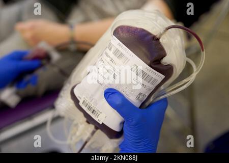Kaltenkirchen, Germany. 25th Nov, 2022. An employee of the German Red ...